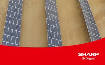 Sharp Solar Modules Data Sheet